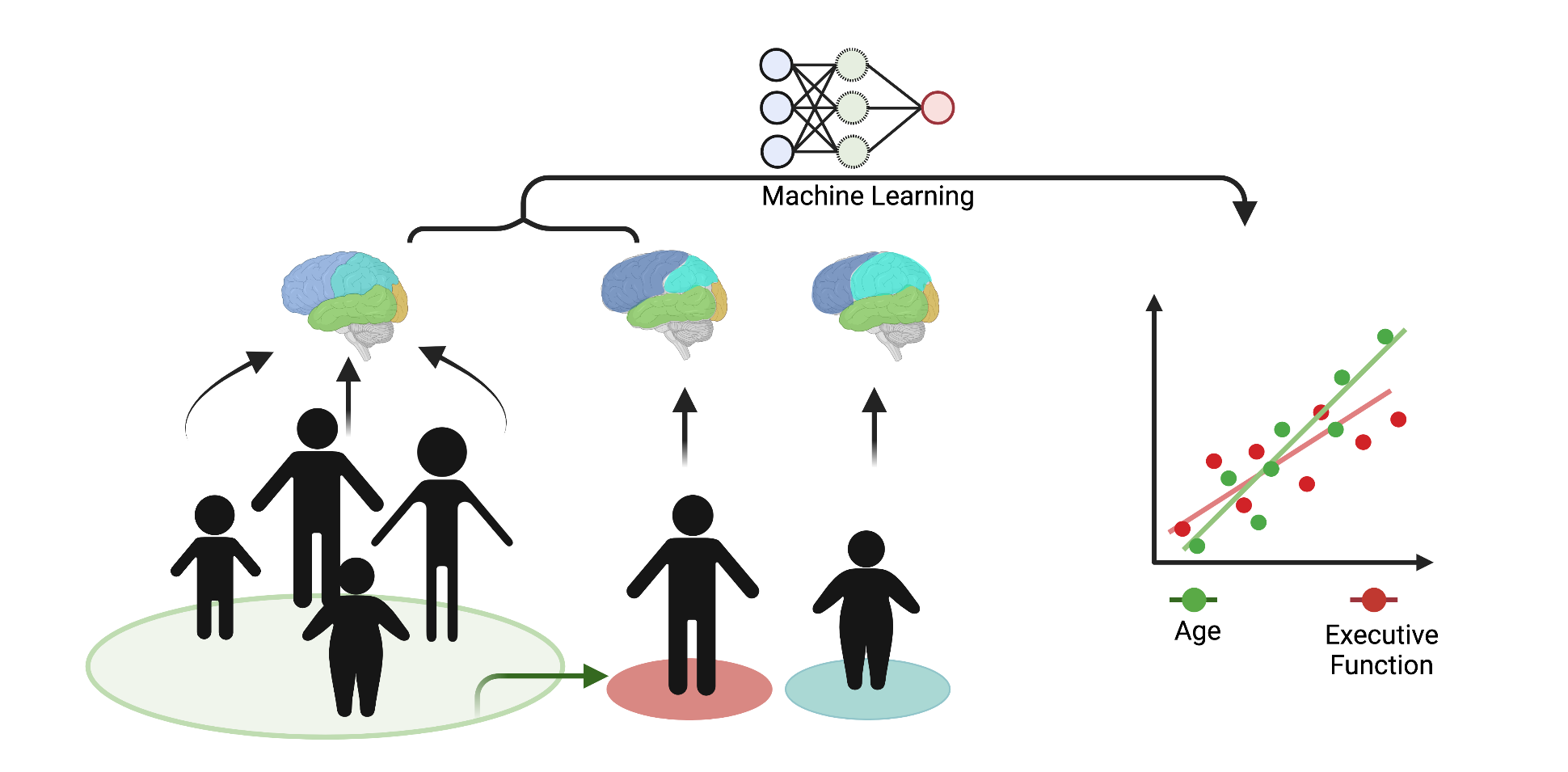 Chinese Institute for Brain Research, Beijing CUZAIXU Lab