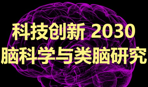 Chinese Institute for Brain Research, Beijing CUZAIXU Lab